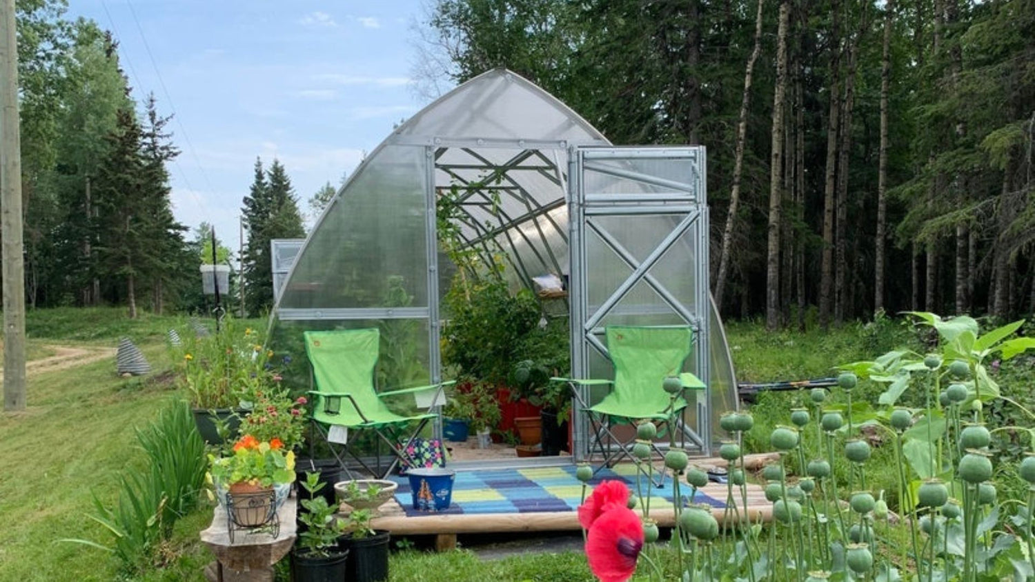 9 Unique Greenhouse Ideas to Transform Your Backyard Space – Nova ...